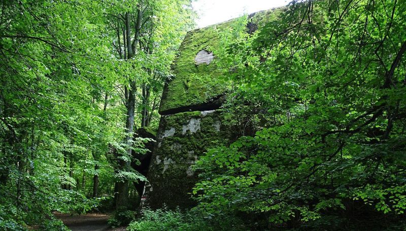 Hitler Kaput? | News | Nuremberg. Casus pacis